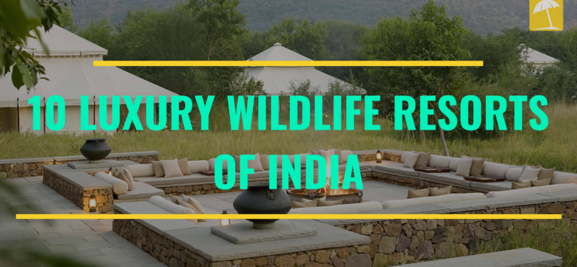 10 Best Luxury Wildlife Resorts in India | Holidaymine
